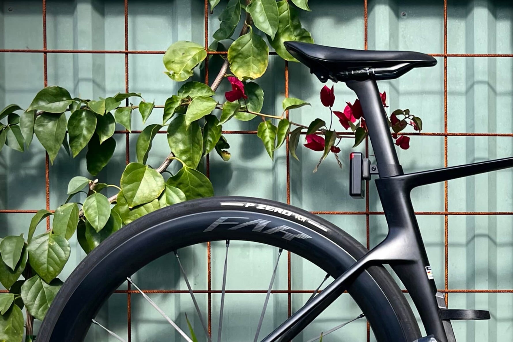 Concentric Cycling